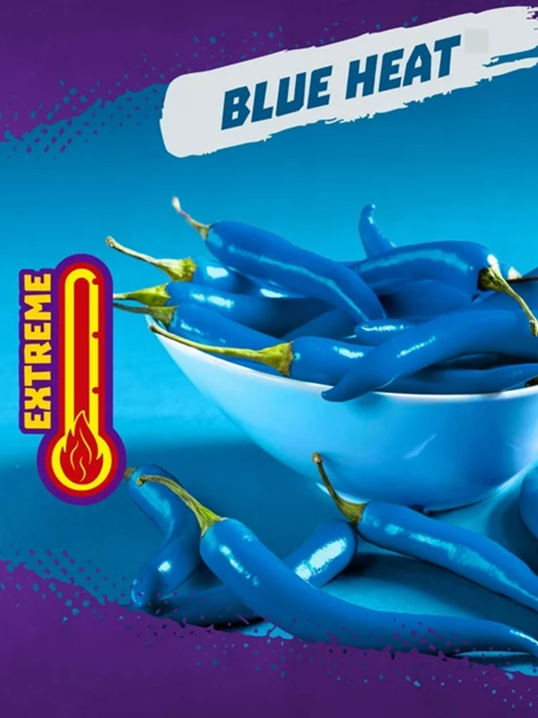Takis Blue Heat 92g